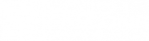 Home - Polish Falcons of America